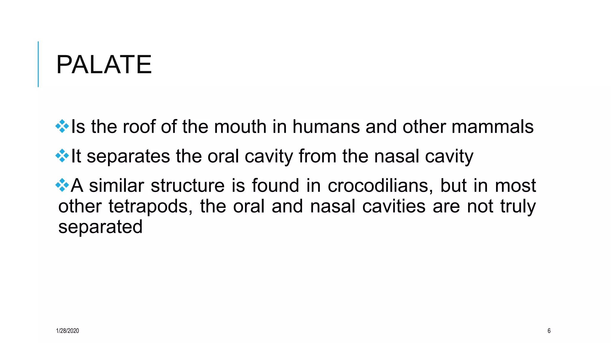 Gross anatomy of the oral cavity | PPTX