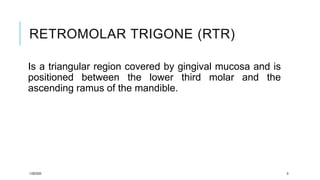 Gross anatomy of the oral cavity | PPTX