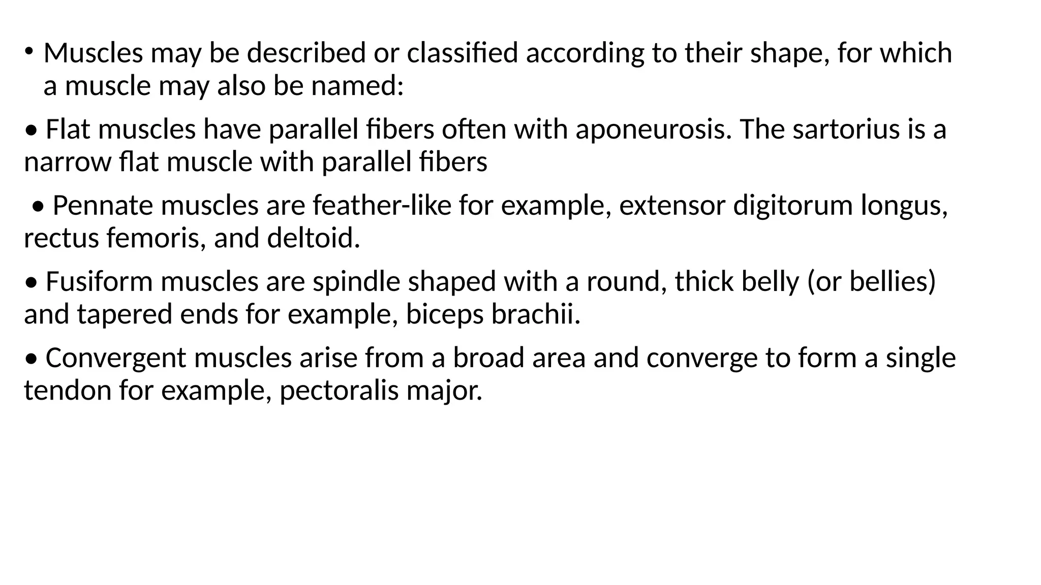 Gross Anatomy slides updated.pptx0000000 | PPTX