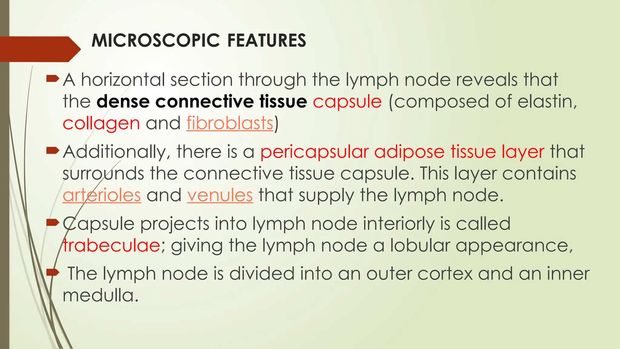 GROSS AND MICROSCOPIC FEATURES OF LYMPH NODE.pptx