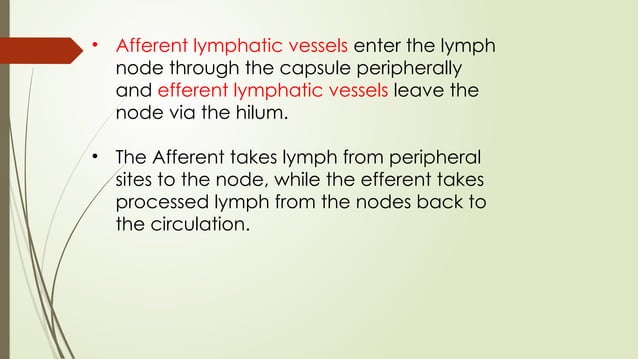 GROSS AND MICROSCOPIC FEATURES OF LYMPH NODE.pptx | Biological Sciences ...
