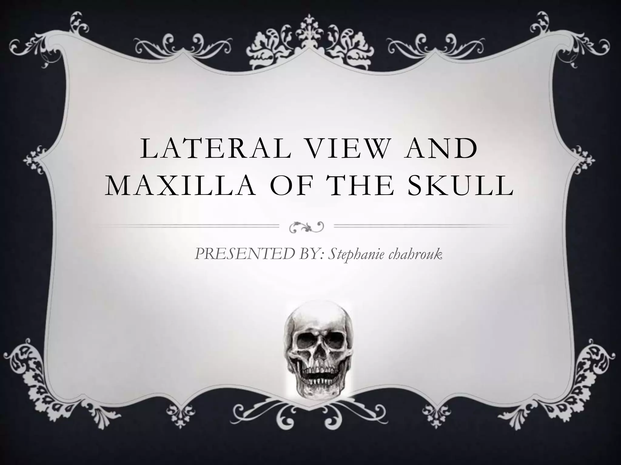 Lateral View And Maxilla Of The Skull Anatomy | PPTX