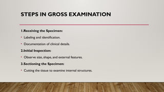 Gross Examination histo technique (histopathology).pptx