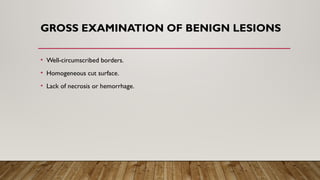 Gross Examination histo technique (histopathology).pptx