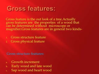 Gross features and minute stucture of temarindus indica | PPT
