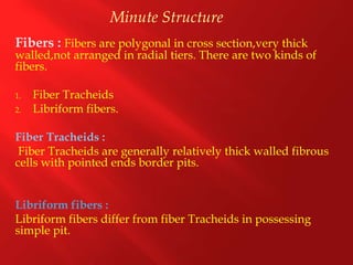 Gross features and minute stucture of temarindus indica | PPTX