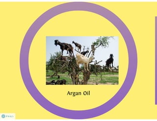 Gross Food Guide global tour | PPT