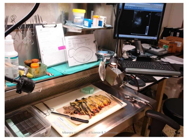 Grossing.pptx | Infectious Diseases | Diseases and Conditions