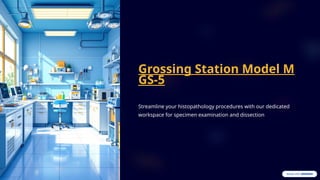 Grossing Station Model MGS-5 – Advanced Histopathology Grossing Station ...