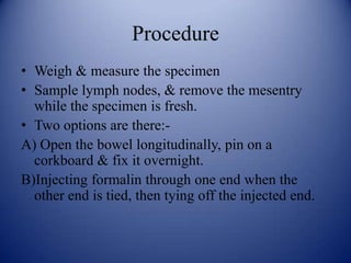 GrosS LARGE BOWEL DR N P TIWARI | PPT