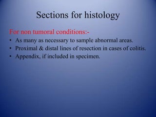 GrosS LARGE BOWEL DR N P TIWARI | PPT