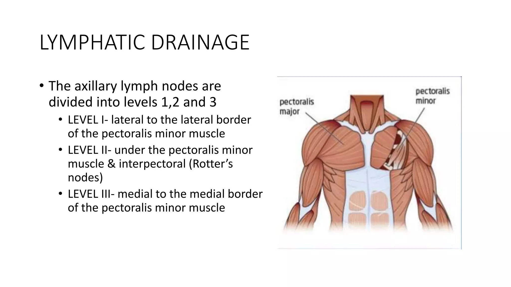GROSSING OF BREAST.pptx