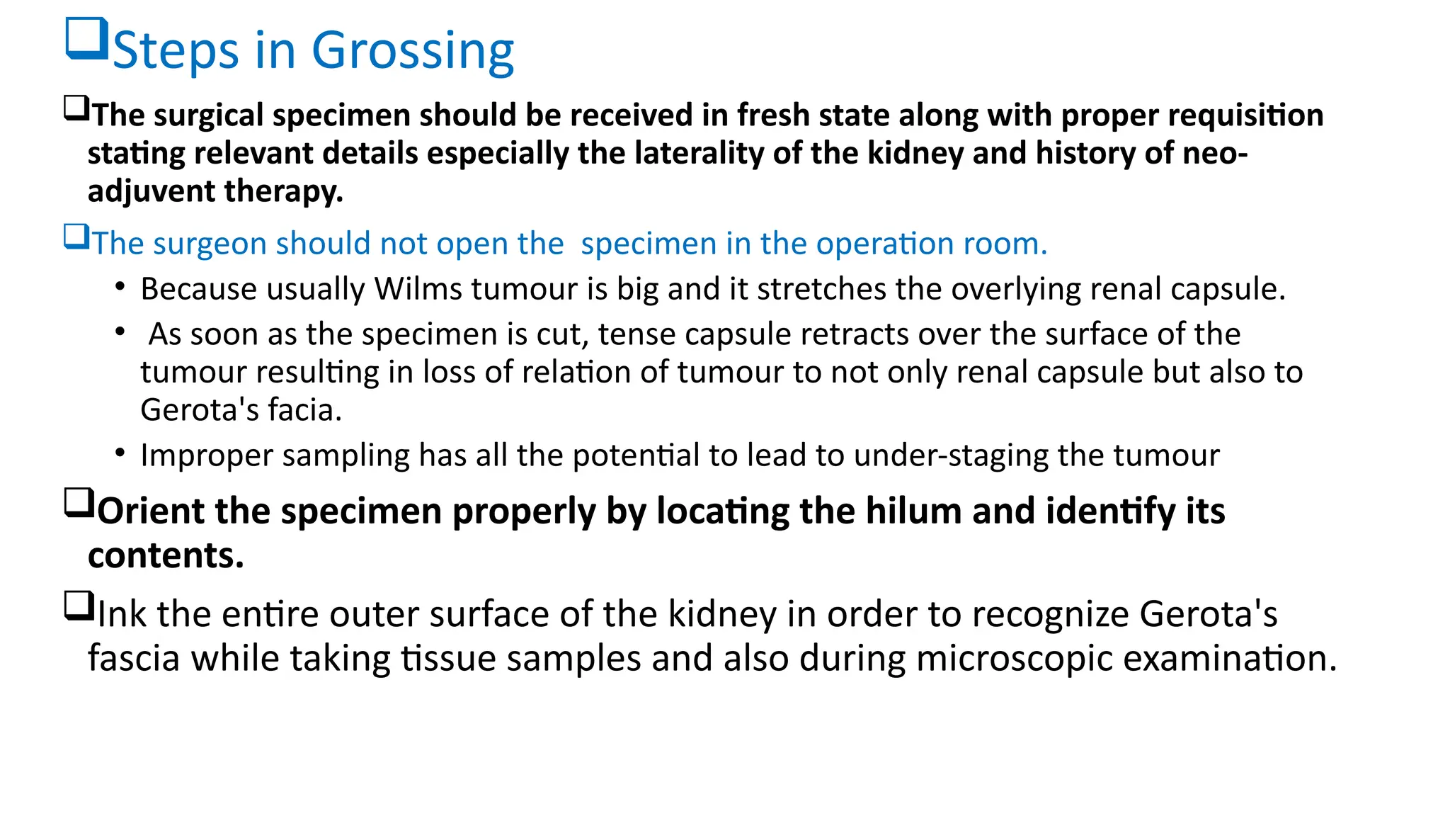 GROSSING OF KIDNEY.pptx, Anatomy and grossing | PPTX