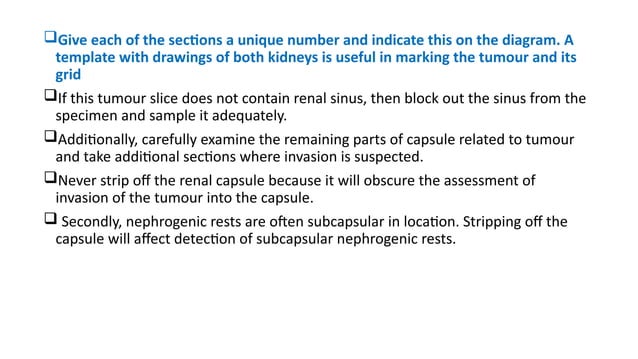 GROSSING OF KIDNEY.pptx, Anatomy and grossing | PPTX | Medical Health