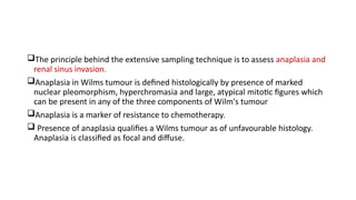GROSSING OF KIDNEY.pptx, Anatomy and grossing | PPTX