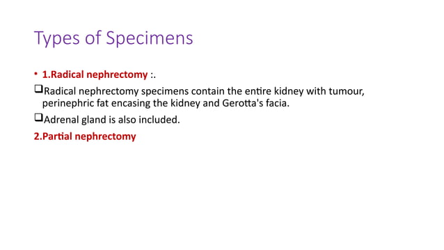 GROSSING OF KIDNEY.pptx, Anatomy and grossing | PPTX | Medical Health