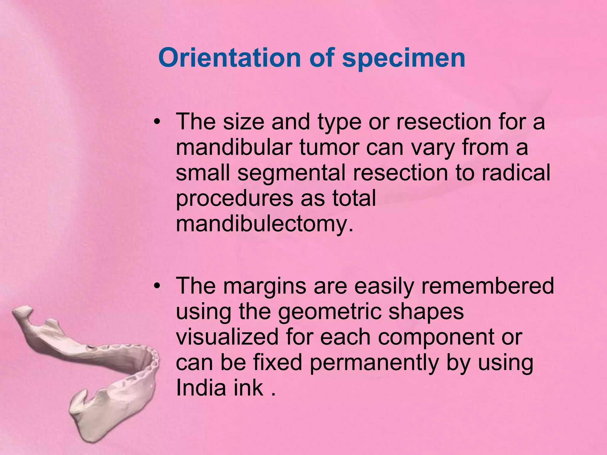 Grossing of mandibulectomy specimen - Dr Pranav, MGIMS | PPTX