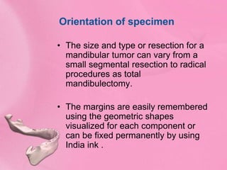 Grossing of mandibulectomy specimen - Dr Pranav, MGIMS | PPTX