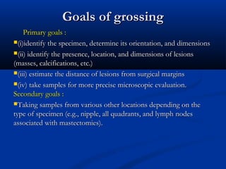 Grossing of breast specimens.pptmain | PPT