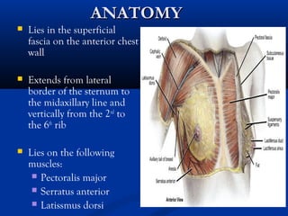 Grossing of breast specimens.pptmain | PPT