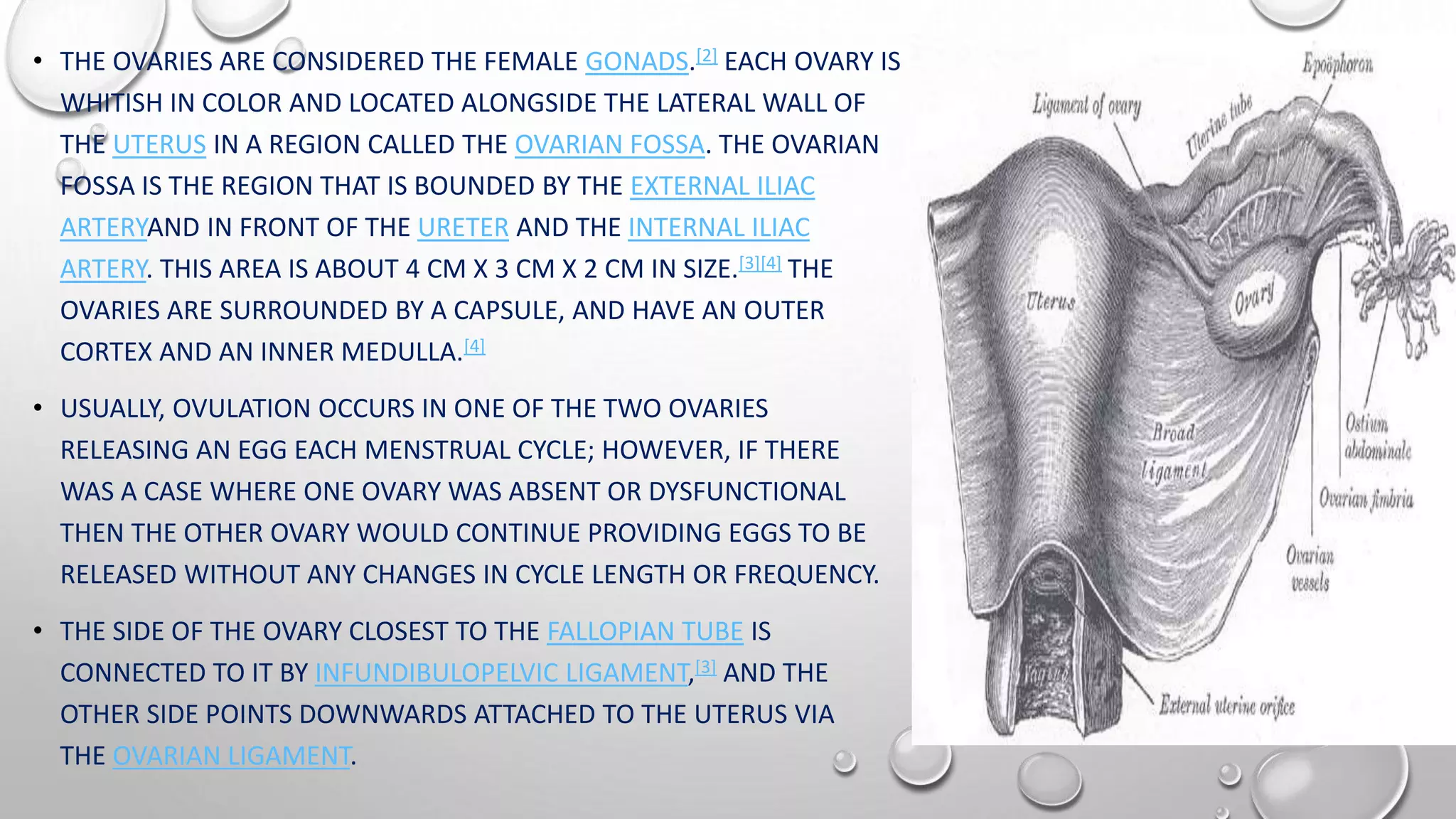 Histopath Grossing of uterus cervix &ovary | PPTX