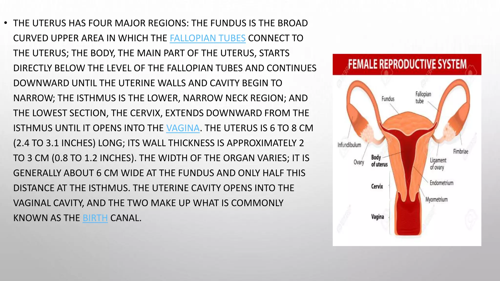 Histopath Grossing of uterus cervix &ovary | PPTX