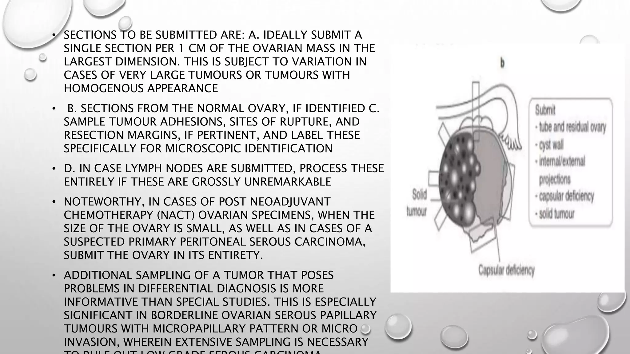 Histopath Grossing of uterus cervix &ovary | PPTX