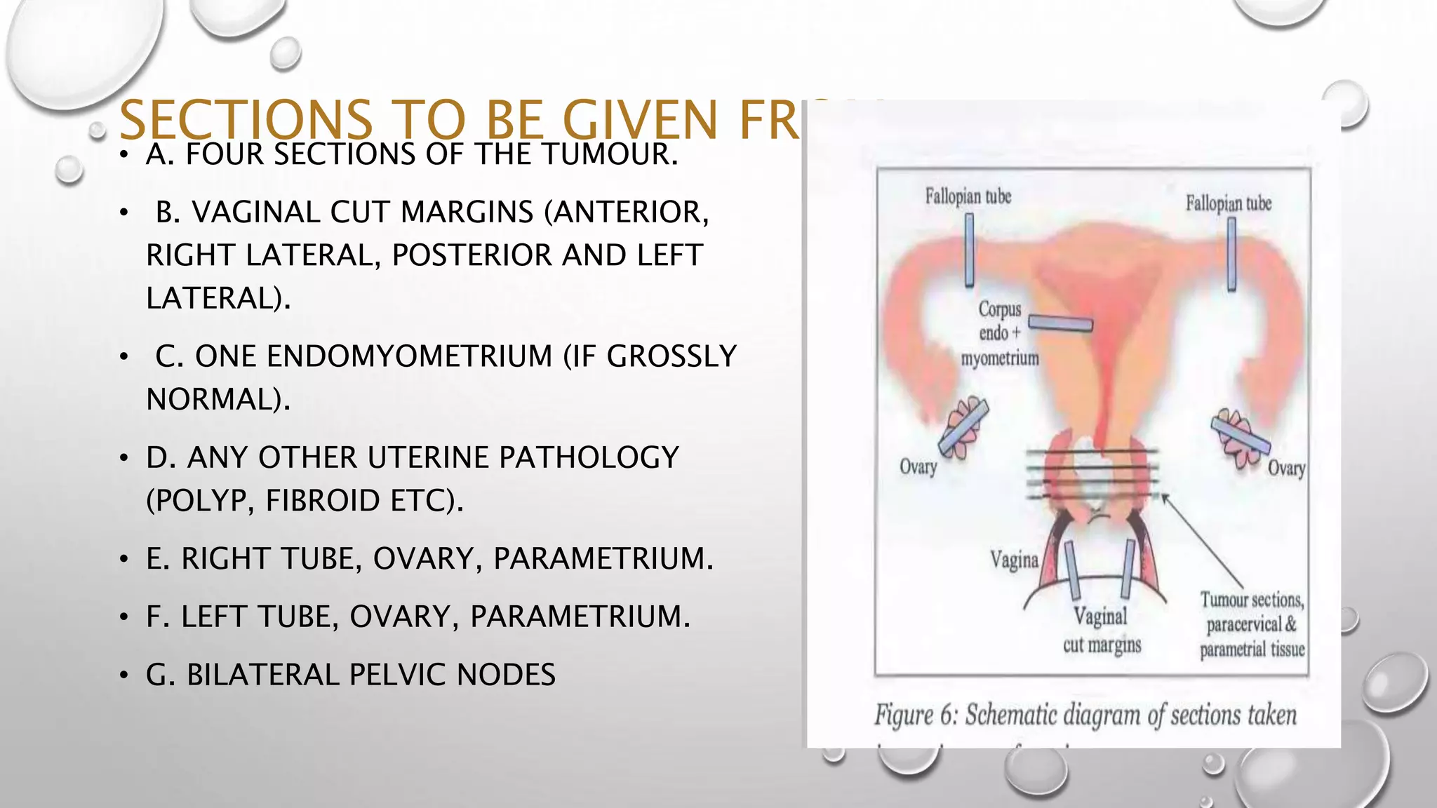Histopath Grossing of uterus cervix &ovary | PPTX