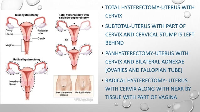 Histopath Grossing of uterus cervix &ovary | PPTX