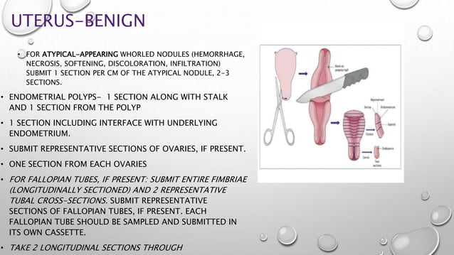 Histopath Grossing of uterus cervix &ovary | PPTX