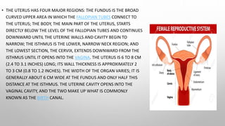 Histopath Grossing of uterus cervix &ovary | PPTX