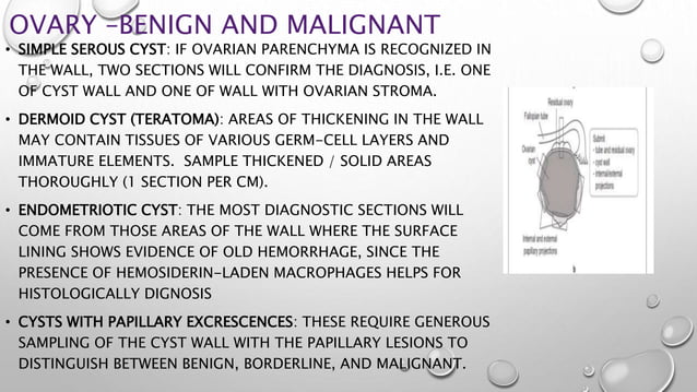 Histopath Grossing of uterus cervix &ovary | PPTX