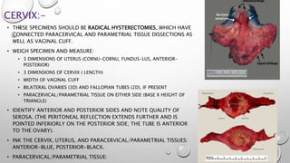 Histopath Grossing of uterus cervix &ovary | PPTX