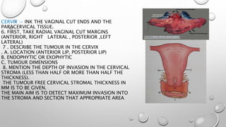 Histopath Grossing of uterus cervix &ovary | PPTX