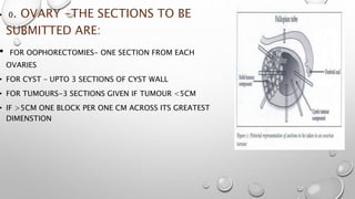 Histopath Grossing of uterus cervix &ovary | PPTX