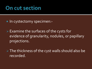Grossing procedure for ovary | PPTX