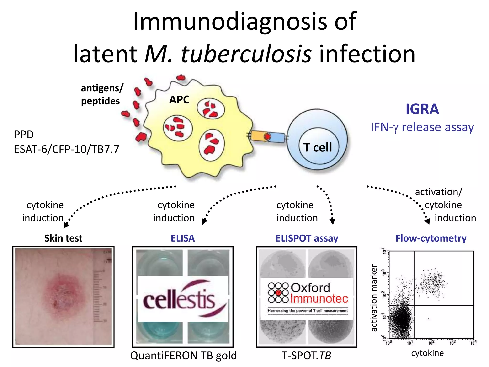 PPT Grossi "Tuberculosis and transplants" | PPTX
