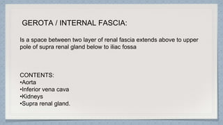 gross kidney methods for histology techniques.pptx