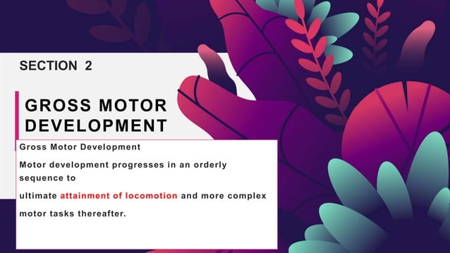 GROSS MOTOR DEVELOPMENT.pptx