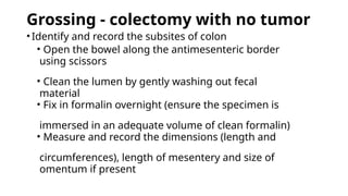 gross of intestine.pptximportant topic for pathology | PPTX