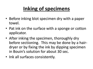 Gross pathology of breast tumors (3) | PPTX