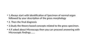 GROSS SPECIMENS pathology practicals.pptx