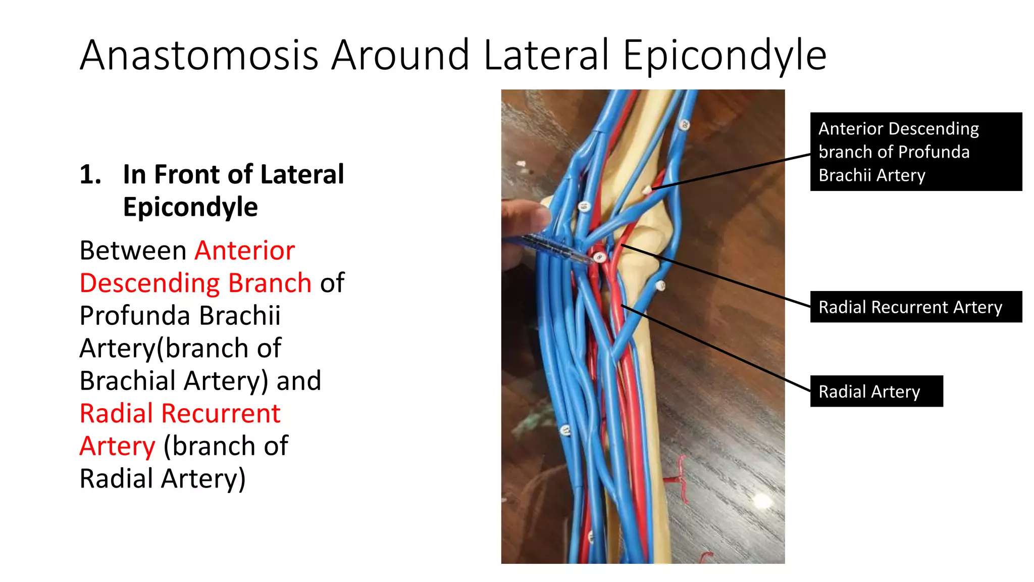 Gross Spotting Of Elbow Joint, Wrist,.pptx