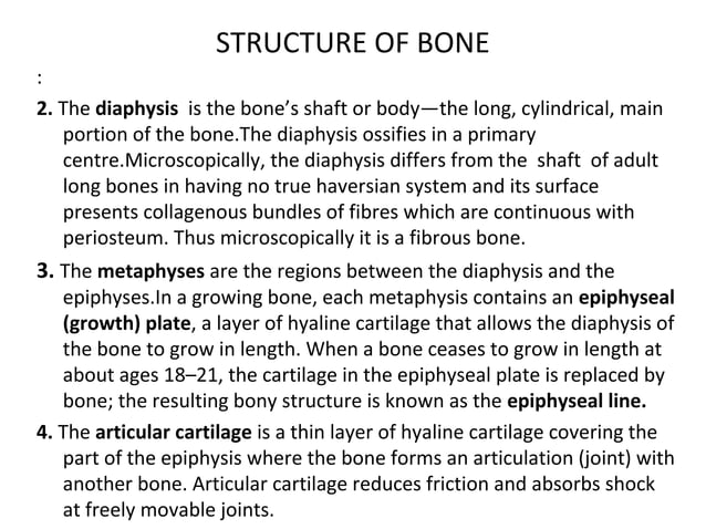 Gross structure of adult long bone | PPT