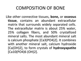 Gross structure of adult long bone | PPT