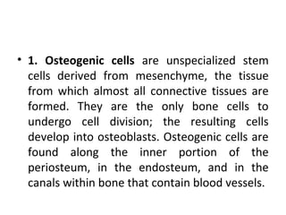 Gross structure of adult long bone | PPT