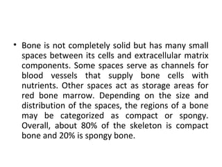 Gross structure of adult long bone | PPT