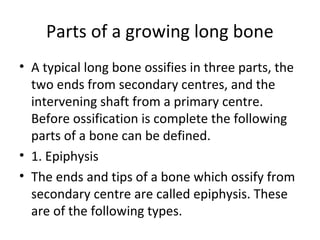 Gross structure of adult long bone | PPT