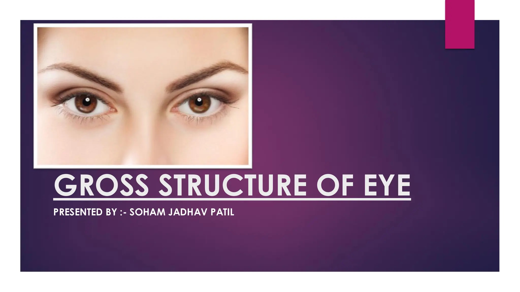 Gross structure of eye.pdf. . | PPT