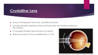 Gross structure of eye.pdf. . | PDF